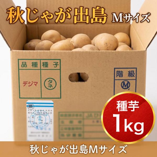 栽培特性熟期: 早生（植付後約75日で収穫可能）適応性: 春作・秋作の二期作栽培に適応収量: 多収性草姿: 茎葉が多く繁茂し、倒伏しやすい傾向品質・外観外観: 良好で市場評価が高い食味: 良好で幅広い料理に適応皮の特徴: 比較的扱いやすい長...