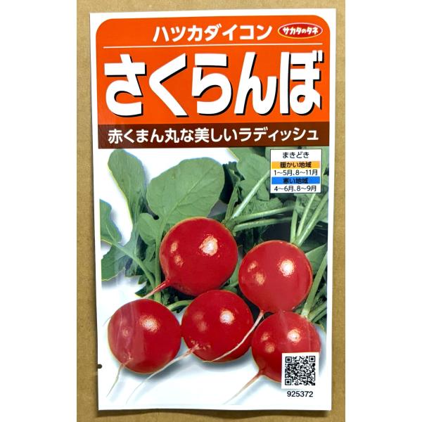 まんまるの二十日大根　ラディッシュを作ってみよう！●特長赤くきれいに丸くなり、さくらんぼを思わせるハツカダイコンです。サラダや料理に彩りを添え、他の色のハツカダイコンと組み合わせて栽培すると楽しさが増します。