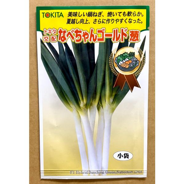 下仁田が長くなったようなやわらかい葱。●特長・鍋で美味しいネギとして定評のある「なべちゃん葱〓」を全面改良。夏越し性、肥大性、締まり、在圃性、耐寒性を向上しパワーアップさせた品種です。・夏の暑さに強くなり、夏越し率が高くなっています。夏の酷...
