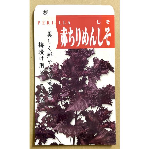 梅干しの色付けに。穂や芽もどうぞ！○植付時期／４月中旬〜○収穫時期／６月上旬〜種まき: 地温が十分に上がってから種まきを行います。好光性種子なので、土はタネがわずかに隠れる程度にごく薄くかけ、発芽まで乾燥させないように管理します。発芽まで2...
