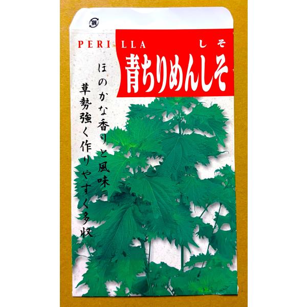 ビタミン・ミネラル豊富な代表的香味野菜。○植付時期／４月中旬〜○収穫時期／６月上旬〜●特性暑さに強く生育旺盛、分岐性に優れ、長期間収穫できます。葉は美しい緑色、葉面もちりめん状で特有の香気があります。家庭菜園でも手軽に楽しめる香辛野菜です。