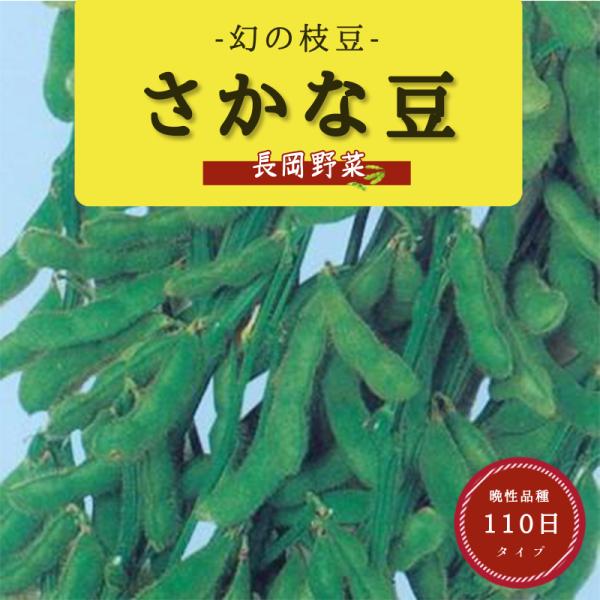 うす青豆の晩生品種110日タイプ○植付時期／6月〜７月○収穫時期／１０月〜長岡野菜の肴豆（さかなまめ）は10日間ほどしか収穫されない枝豆で収穫期間が短い事から幻の枝豆と言われています。三日月のような長めのさやが特徴で茹で上がりは一般的な枝豆...