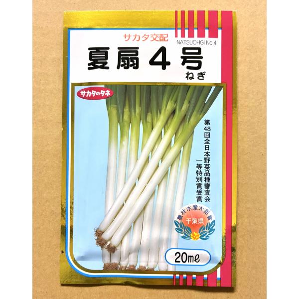 ●特長・太りがよく、密植が可能で、低温伸長性のある黒柄系一本ネギ。・夏秋および秋冬どりに適し、土質を選ばず、適応作型が広く、作柄が安定する多収品種。・草勢強く、立性で葉折れが少なく、機械管理作業が容易。・ 太さは商品価値の高いL~2Lでそろ...