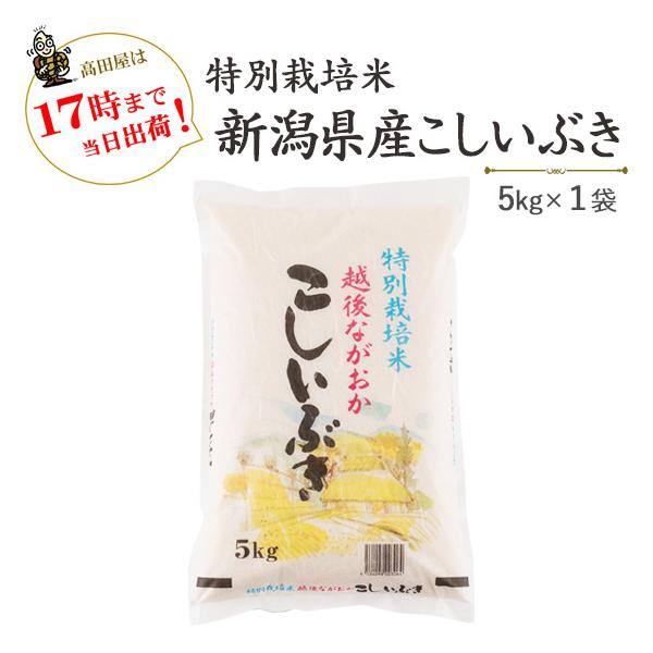 ★★飲食店でも人気の新潟ブランド米★★当店で根強い人気を誇るお米「こしいぶき」飲食店でも大変ご好評頂いております！！−−−−−−−−−−−−−−−−−−−−−◆令和７年産 ◆新潟県産◆こしいぶき◆単一原料米 ◆5kg×1袋（計5キロ）◆送料...