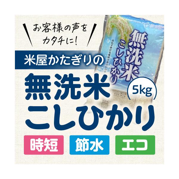 新米令和7年産【無洗米　新潟産コシヒカリ　5kg※当日13時までのご注文で当日出荷をしております。(営業日のみ)※送り先が北海道、沖縄・離島の場合、別途送料がかかります。選択項目からお選びください。（税込 北海道プラス500円、沖縄・離島プ...
