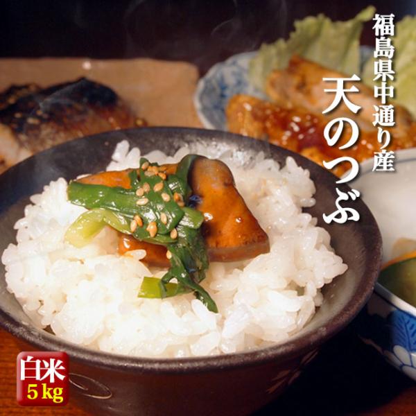 「ふくしまプライド。体感キャンペーン（お米）」令和7年度産 天のつぶ 福島県 5kg 白米 送料無料 新米--------------------------------【商品名】令和7年 天のつぶ（てんのつぶ） 福島県産 白米 5kg【産...