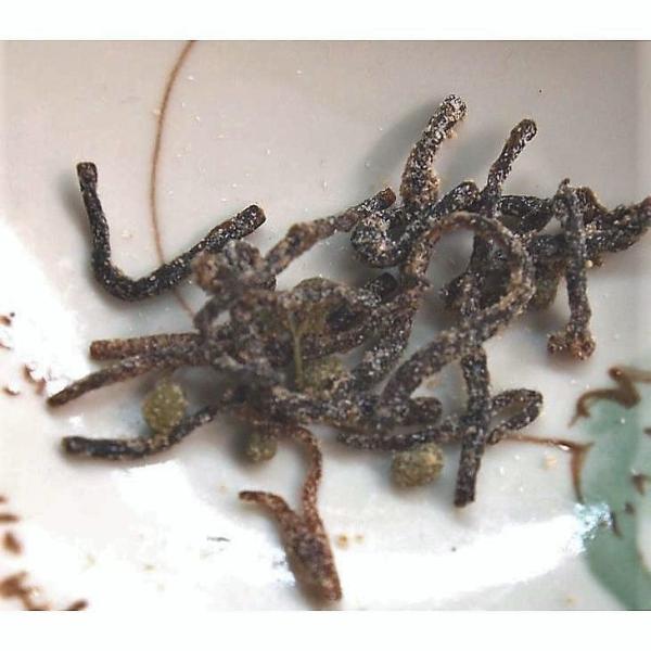 ええやん!大阪商店街原材料醤油・昆布・山椒の実・砂糖・味醂・食塩・調味料(アミノ酸等)・甘味料(ソルビット・甘草・ステビア)・酸味料・増粘多糖類（原材料の1部に大豆小麦を含む）小倉屋松柏　大阪府茨木市西駅前町4-219直射日光　高温多湿を避...