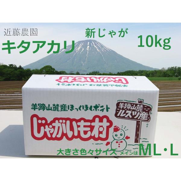 ♪あ ま〜く て ホ ク ホ ク で すよ♪同じ北海道でも地域によって味も価格も変わってきます。羊蹄山のふもと留寿都村は、気候・土質等環境に恵まれた地域で北海道の中でも特に『おいしい』じゃがいもの取れる産地です。当農園の甘くてホクホクしたじ...