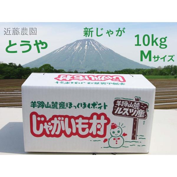近藤農園♪あ ま〜く て ホ ク ホ ク で すよ♪同じ北海道でも地域によって味も価格も変わってきます。羊蹄山のふもと留寿都村は、気候・土質等環境に恵まれた地域で北海道の中でも特に『おいしい』じゃがいもの取れる産地です。当農園の甘くてホクホ...