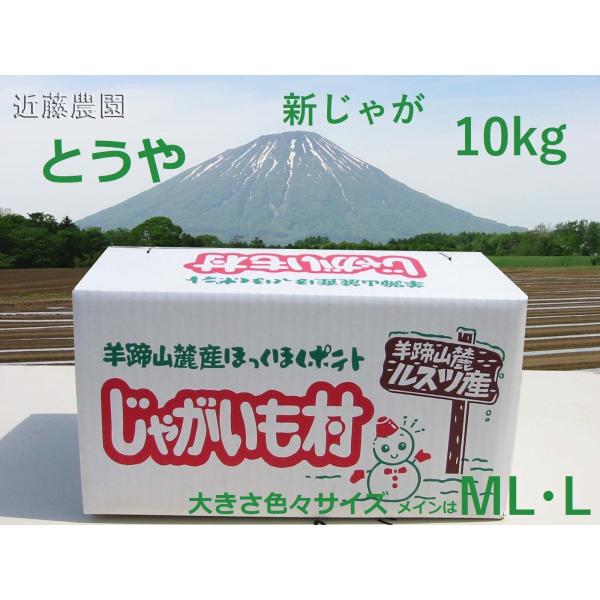 ♪あ ま〜く て ホ ク ホ ク で すよ♪同じ北海道でも地域によって味も価格も変わってきます。羊蹄山のふもと留寿都村は、気候・土質等環境に恵まれた地域で北海道の中でも特に『おいしい』じゃがいもの取れる産地です。当農園の甘くてホクホクしたじ...