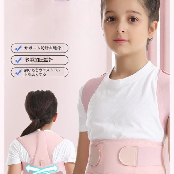 材質：ナイロン適用部位: 背中