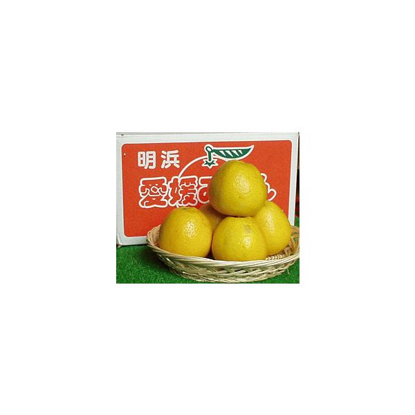 当店で毎年大人気のみかん「河内晩柑」さわやかな香りで、母の日、父の日のプレゼントやお中元用としてもおすすめの商品です。 長期間樹になっていることもあり、贈答用としては見た目が今一つと思われがちですが、まだ珍しく、とても爽やかでジューシーなの...