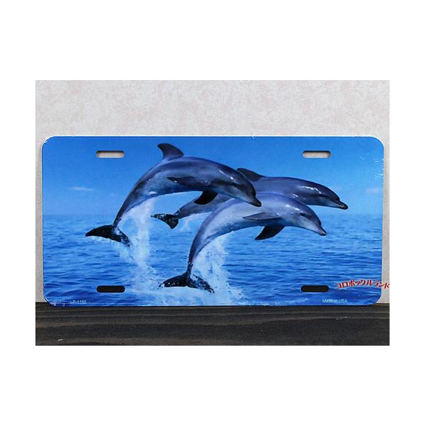 USA製のナンバープレートサイズのデザインプレートです。カラフルポップなデザインからアートなものまで200種類以上を販売しています。プレートにはフラットなものと凸凹したエンボス加工の２種類があります。余白のあるプレートは愛車のナンバーやお好...