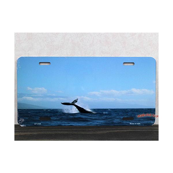 USA製のナンバープレートサイズのデザインプレートです。カラフルポップなデザインからアートなものまで200種類以上を販売しています。プレートにはフラットなものと凸凹したエンボス加工の２種類があります。余白のあるプレートは愛車のナンバーやお好...