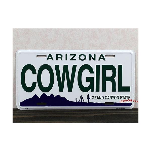 USA製のナンバープレートサイズのデザインプレートです。カラフルポップなデザインからアートなものまで200種類以上を販売しています。プレートにはフラットなものと凸凹したエンボス加工の２種類があります。余白のあるプレートは愛車のナンバーやお好...