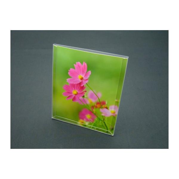 〜〜〜〜〜〜〜〜〜〜〜〜〜〜〜〜〜〜〜〜〜〜〜〜環境に配慮したバイオマスPET素材を採用しております。〜〜〜〜〜〜〜〜〜〜〜〜〜〜〜〜〜〜〜〜〜〜〜〜品名：カレンダーケース （バイオマスPET）  CDサイズ  100個サイズ：W120×D...