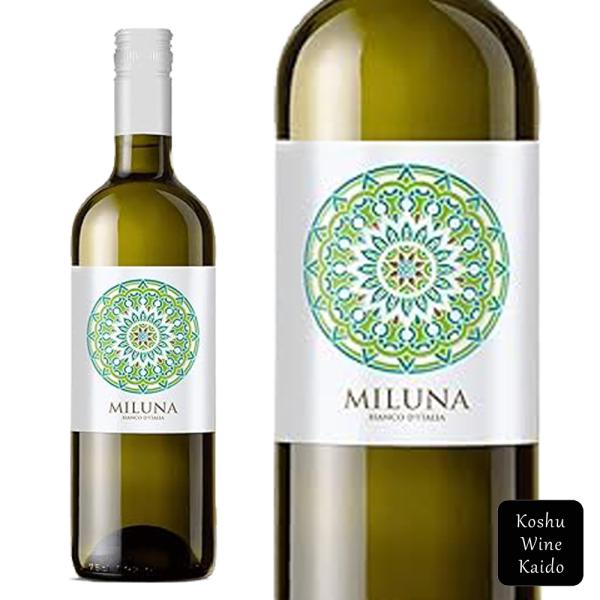 ★★最新のヴィンテージをお届けします。画像のヴィンテージとは異なります。現在のヴィンテージにつきましてはお問合せ下さいませ。★★1960年代設立の“テッレ・ディ・サヴァ”は、1,200もの経験豊富な栽培農家と契約し、世界70ヶ国に輸出する実...