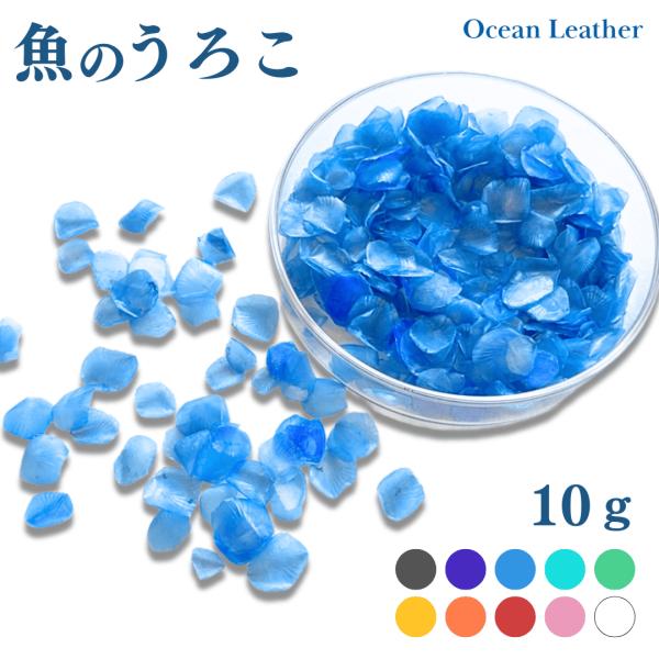 名称 :【ウロコ 素材  10ｇ】国産 魚 鱗 天然素材 レジン ハンドメイド アクセサリー パーツ ピアス イヤリング ブレスレット チャーム アート素材 : 魚のうろこサイズ・容量 :〜１cm前後　※個体や時期によりサイズが前後する場合...
