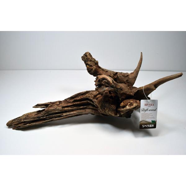 ※写真は90cm水槽に入れて撮影しています。※天然素材のためサイズや形状にはバラつきがございます。【ウッドサージ】は、自然で力強く、存在感があるにも関わらず素朴な雰囲気の流木です。サイズはM、L、XLの3タイプ。アク抜き処理を行っているので...