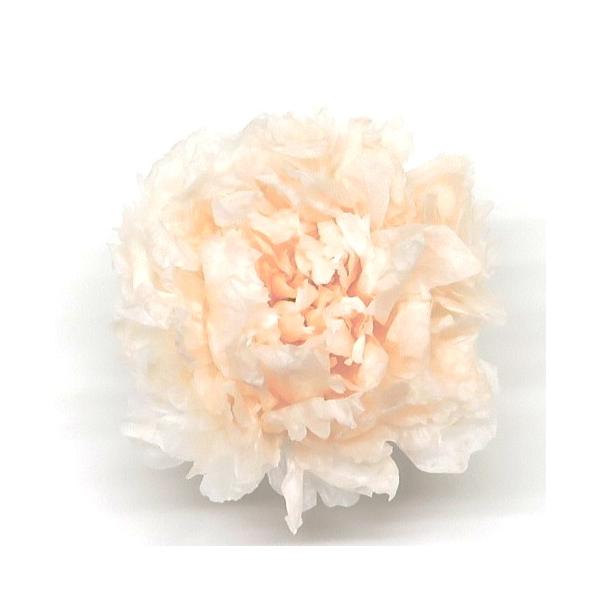 シャクヤクはボタン科のお花でその根は漢方としてもよく知られています。世界中で愛され、英名はPeony（ピオニー）。多種多様な品種改良がなされており、さまざまな種類があります。花言葉は「つつましさ」や「はにかみ」など、女性の内面的な美しさを表...
