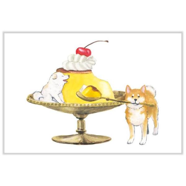 おいしそうなおやつと愛らしいしばいぬがみずみずしいタッチで描かれた水彩画のポストカードです。思わず大切にコレクションしたくなる可愛さです。「プリン」サイズ：148×100mm素材：紙株式会社アクティブコーポレーションポストカード　メッセージ...