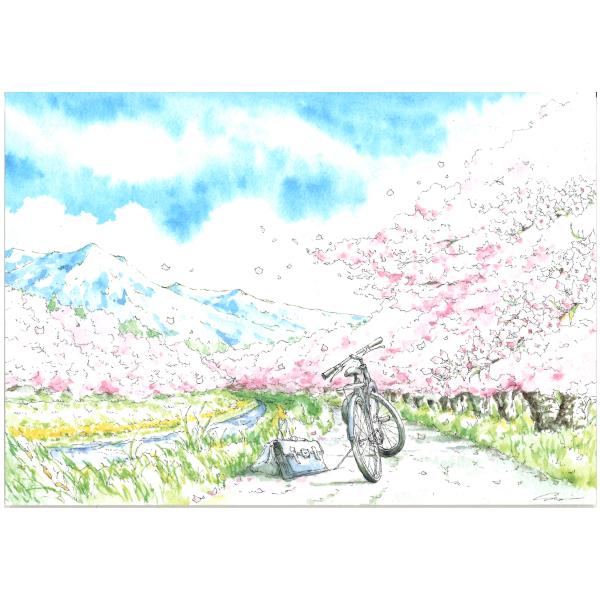 優しい色づかいの水彩画が魅力の内田新哉の桜のポストカードです。心癒される、素敵な風景の場所に連れて行ってくれます。「さくらロード」サイズ：150×105mm素材：紙製株式会社アクティブコーポレーションポストカード　メッセージカード　ギフト　...