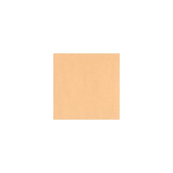 アクリリック ガッシュとは鮮やかな色の表現に欠かさないガッシュ。 オペーク（不透明）の色彩が明快な表現を生み出します。アクリリック ガッシュは「色を重ねても下の色が溶けず、色が汚れない」「乾いたら水がかかっても流れない」など、制作が早く、仕...