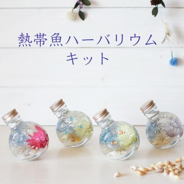 ハーバリウム 熱帯魚 の花材＋瓶＋オイルのセットを販売しています。ボトル１本分の花材です。★花材・丸瓶・オイルのセット商品です★カラー★３色★熱帯魚★４種類★サイズ★高さ約9.3cm x 幅約7.2×4.7cmご希望のカラーと熱帯魚の種類が...