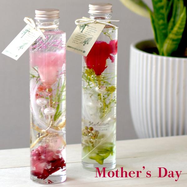 ハーバリウム 母の日 カーネーション 送料無料★作品1本のお値段です。★ハーバリウム カーネーションささやかに贈るカーネーション。カーネーションの茎をゴールドワイヤーで巻いて一つ一つ丁寧に製作したハーバーリウムです。★使用花材★カーネーショ...