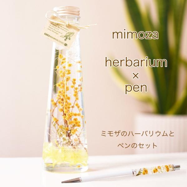 ミモザのハーバリウムとボールペンのセット商品です。送料無料【商品内容】・ミモザハーバリウム１本　サイズ：直径約5cm、高さ 約18cm　使用花材：ミモザ・あじさい・かすみ草・シルバーラメッタカーリー・ハーバリウムボールペン １本　サイズ：長...