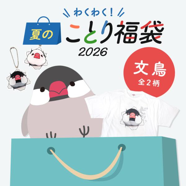 【発売日：2026年07月14日】2026年夏☆彡毎年大人気！ことり福袋が、”わくわく”な福袋先行新アイテムを連れて26’夏にやってきた！今回もプレミアムなグッズが目白押し(*^^*)たくさんのわくわくを詰め込んで5,480円！しかも送料無...