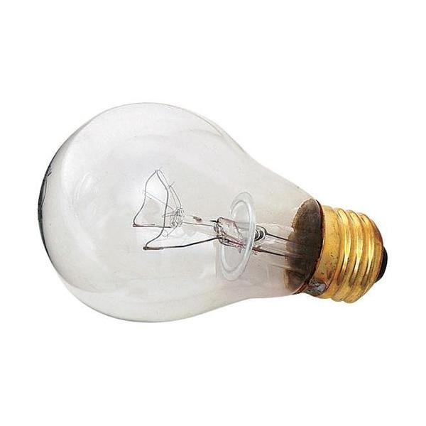 透明形100Wの耐震電球です。[用途]ハンドランプ等の替球。[機能]透明形100Wの耐震電球です。耐震性を備えたフィラメントを使用しています。[仕様]●仕様：110V・100W。[材質]●ランプ：ガラス。●口金：金属。[注意事項]点灯中や消...