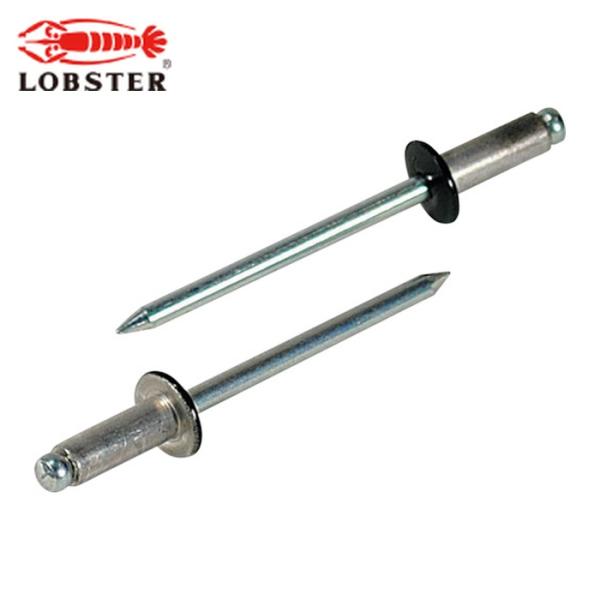 エビ ブラインドリベット|特長:ブラインドリベットのツバをカラーにしてありますので、塗装の必要がなく、仕上がりもスマートです。 ご希望カラーのご注文もお受けします。