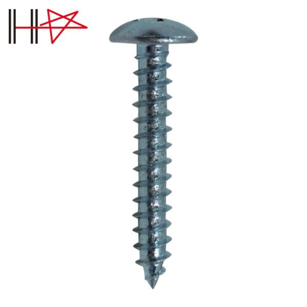 DAIDOHANT トラス頭タッピングねじ|特長:下穴だけで締結が出来る薄板鋼板用のねじです。 頭部が鍋頭より大きいため、押さえ力が大きいです。 購入しやすい少量パックです。