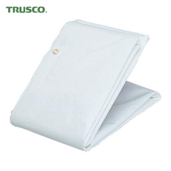 特長●軽量で作業性が向上します。●強度が高く光透過性に優れています。●焼却時、ダイオキシン類の発生が少ないシートです。●使用環境温度:-40℃〜60℃で寒冷地でも使用可能です。用途●建築、建設などの壁面養生に。