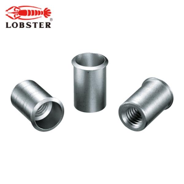 エビ ブラインドナット|特長:エビナットはナットとリベットの両方の長所を兼ねそなえた、ブラインドファスナーです。 タップ立ての難しい薄板やパイプ、溶接のできないプラスチック板にも、片側から簡単に取り付けることができます。 専用のエビ印ナッタ...