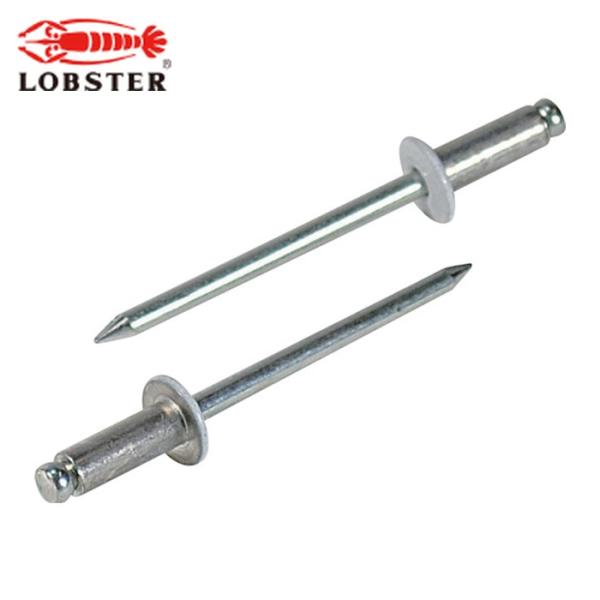 エビ ブラインドリベット|特長:ブラインドリベットのツバをカラーにしてありますので、塗装の必要がなく、仕上がりもスマートです。 ご希望カラーのご注文もお受けします。