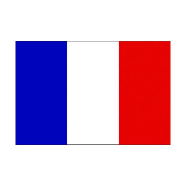 【仕様】●表示内容：フランス●旗寸法縦×横(mm)：160×240【型番】406647【商品コード】2073630※お問い合わせの際はこちらの商品コードをお伝えください