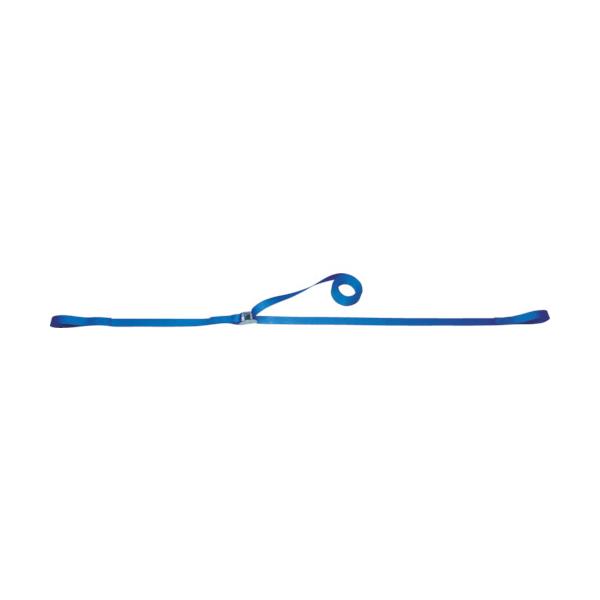 【仕様】●最大使用荷重(t)：0.075●ベルト長さ(m)巻取側：3●ベルト長さ(m)固定側：1●ベルト寸法(mm)幅×厚さ：25×1.4●色：ブルー●両端形状：アイタイプ●タイプ：両端アイタイプ●両端アイタイプ●カムバックル式●破断強度(...
