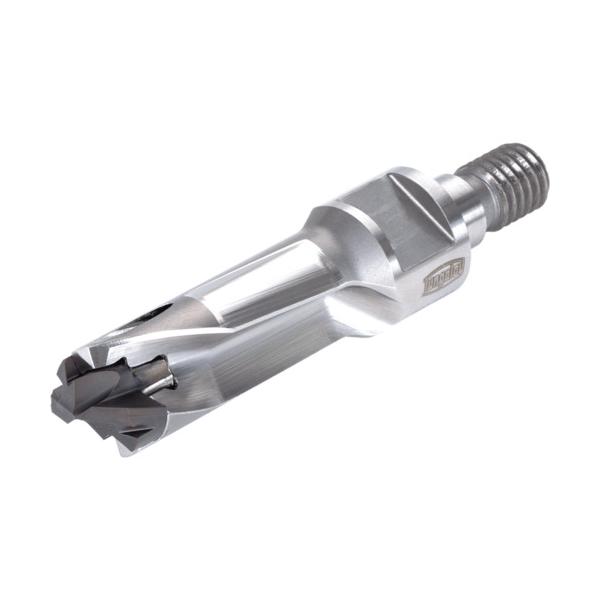 【仕様】●全長OAL(mm)：63.15●工具突出し長さLPR(mm)：46.15●シャンク長さLS(mm)：17●シャンク高さH(mm)：10●全長OAL(mm)：63.15●機能長さLF(mm)：44.48●マスターインサート記号：DM...