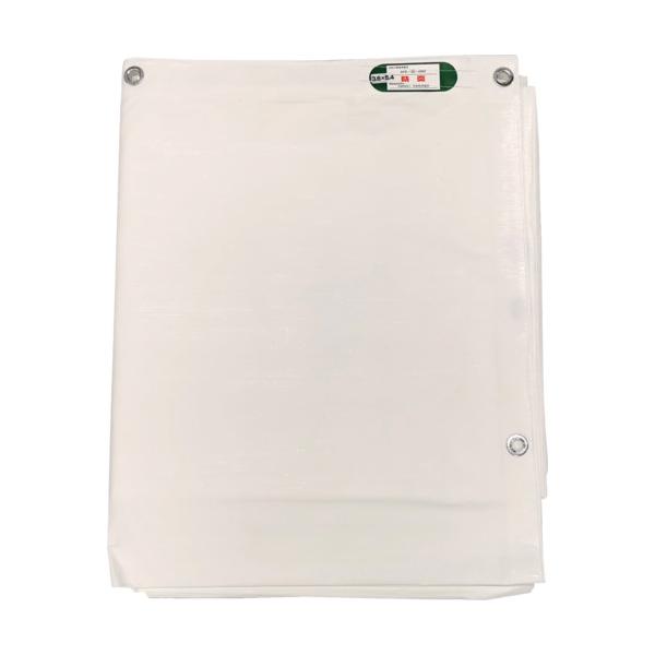 【仕様】●幅(m)：1.8●長さ(m)：1.8●ハトメ数(個)：16●ハトメピッチ(cm)：45●防炎表示者認定番号：AFE330085【型番】LFCLS-1818　/　LFCLS1818【商品コード】6919341※お問い合わせの際はこち...