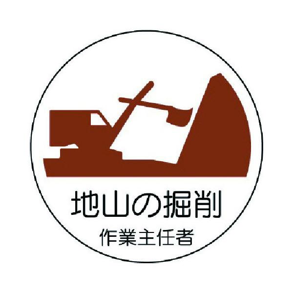 【仕様】●表示内容：地山の掘削作業主任者●縦(mm)：35●横(mm)：35●摘要：粘着シール・2枚1シート●粘着シール【型番】370-21　/　37021【商品コード】7392877※お問い合わせの際はこちらの商品コードをお伝えください