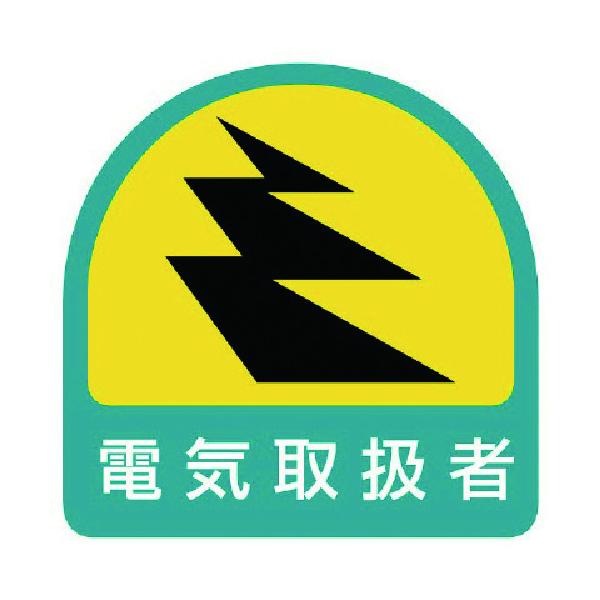 【仕様】●表示内容：電気取扱者●縦(mm)：35●横(mm)：35●摘要：粘着シール●2枚1シート【型番】851-51　/　85151【商品コード】7441231※お問い合わせの際はこちらの商品コードをお伝えください