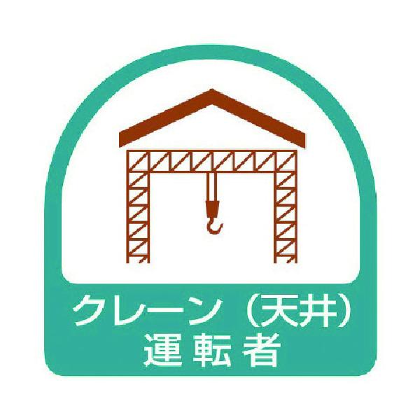 【仕様】●表示内容：クレーン(天井)運転者●縦(mm)：35●横(mm)：35●摘要：粘着シール●2枚1シート【型番】851-64　/　85164【商品コード】7441304※お問い合わせの際はこちらの商品コードをお伝えください