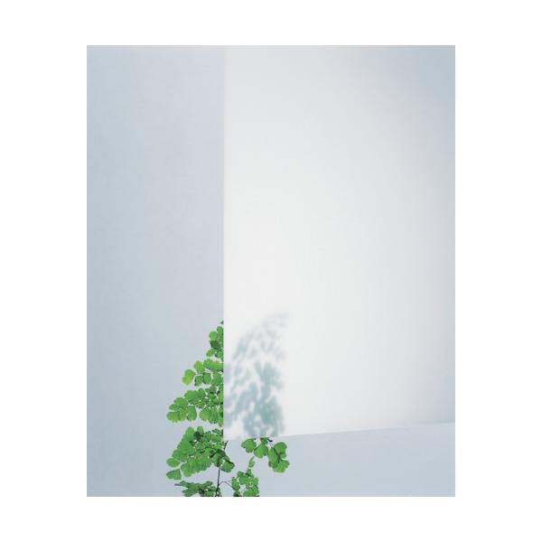 【仕様】●色：乳白半透明●厚さ(mm)：2●幅(mm)：約930●長さ(mm)：約1860●縦(mm)：1860●横(mm)：930●取付仕様：穴ナシ(加工フリー)●使用温度範囲：-30〜60℃●穴ナシ(加工フリー)ビス止め(ビス別売)【型...