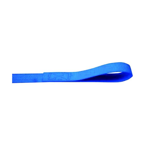 【仕様】●最大使用荷重(t)：0.025●ベルト長さ(m)巻取側：1●ベルト長さ(m)固定側：1●ベルト寸法(mm)幅×厚さ：18×0.8●色：ブルー●両端形状：アイタイプ●タイプ：両端アイタイプ●ベルト幅(mm)：18●全長(m)：2●ベ...