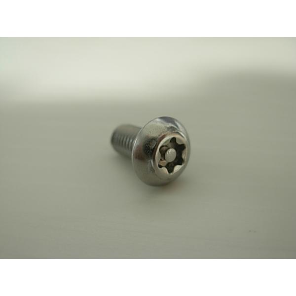 M4 ステンレス トルクスボルト 盗難防止 ねじTRFシリーズ サイマコーポレーション社製　ねじ径 約4mm× ねじ部長さ 約6〜10mm　ねじの頭の径 約7.6mm　ねじピッチ 約0.7mm　材質 ステンレス  SUSXM7　使用工具サイ...