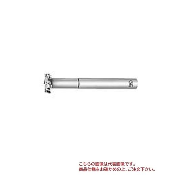 《仕様》●表面処理：ノンコート●ねじれ角：25°●呼び：20X5 X 130X5X12●外径：20●全長：130●刃長：5●シャンク径：12●刃数：4炭素鋼・合金鋼・プリハードン鋼・工具鋼 (〜40HRC)、ステンレス鋼 (〜35HRC)、...