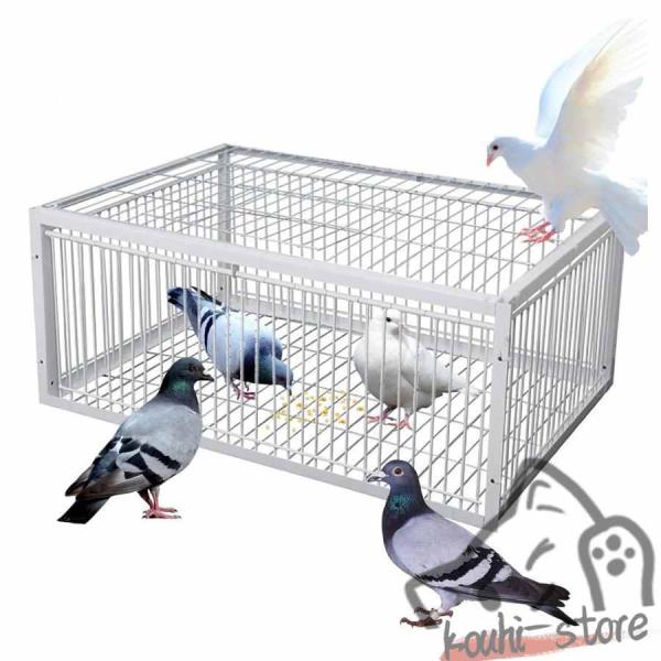 【4面ドア設計】4つの入口がある鳩かごは、さまざまな方向から鳥が入りやすくなっています。これにより、鳩かごの成功率が大幅に向上します。鳥かごトラップは、動物が一人で出入りできないようにするために、一方通行の入り口人道的な方法を採用しています...