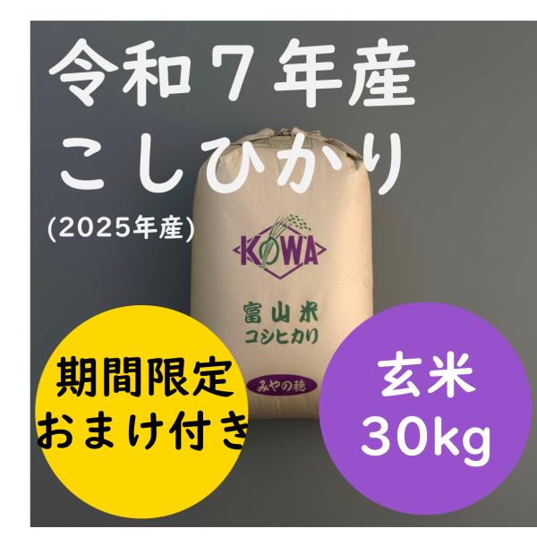 3月末まで ネットでほとんど出品されない希少銘柄「てんこもり」を食べ比べ用800g(約5合)おまけします！【令和の献上米。極上の富山県産コシヒカリ】 令和三年、富山県代表として献上米皇室献上農家を賜った七代続く農家です。独自の旨味熟成技術で...